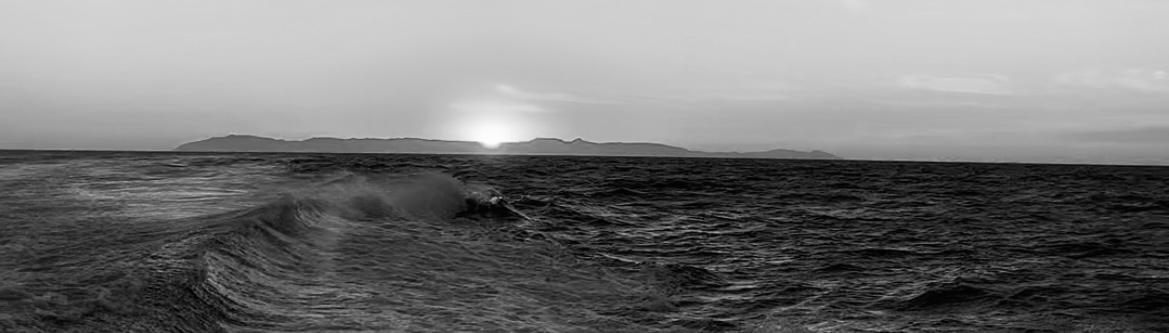 Catalina-Sunset-BW – dohla.org