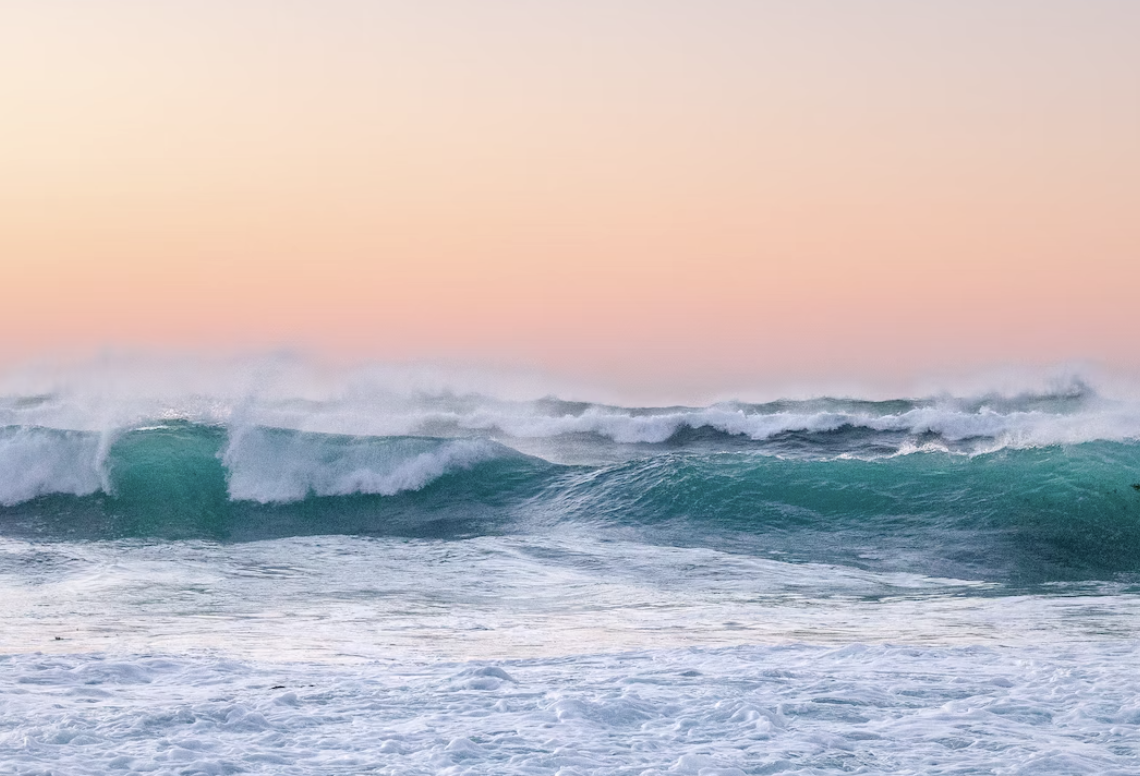 People – dohla.org